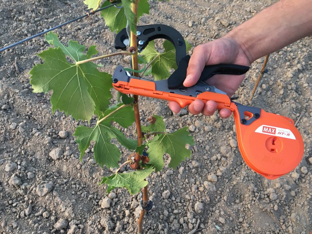 MAX Tapener HT-R2 Plant Tie Machine, Large - MAX Tapener